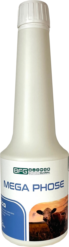 MEGA PHOSE | BIOFEED GLOBAL